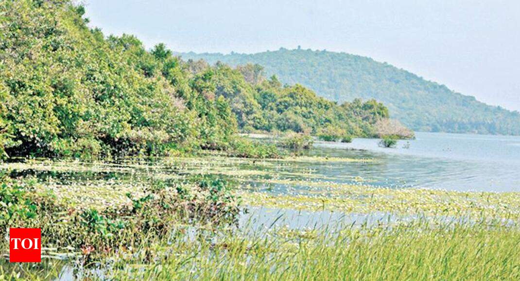 save dhamapur lake citizens: Save Dhamapur Lake: Citizens fight to ...