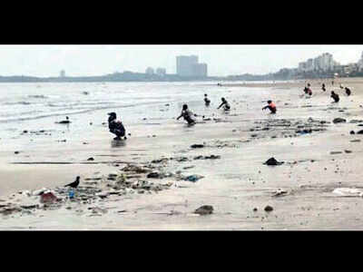 Shabana takes to Twitter to post pic of defecation on Juhu beach ...
