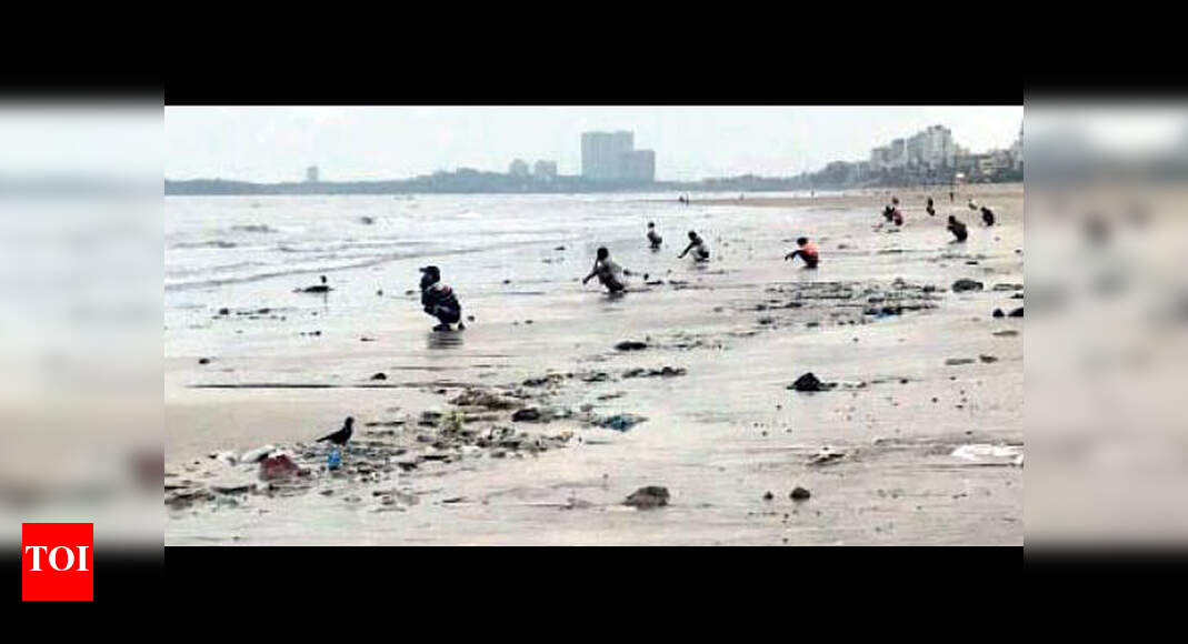 Veteran Actor Shabana Azmi: Shabana takes to Twitter to post pic of ...