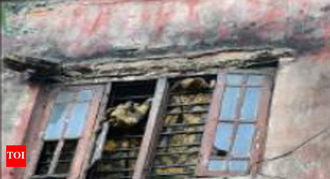 Cornice collapse at century-old market injures five in North Kolkata ...