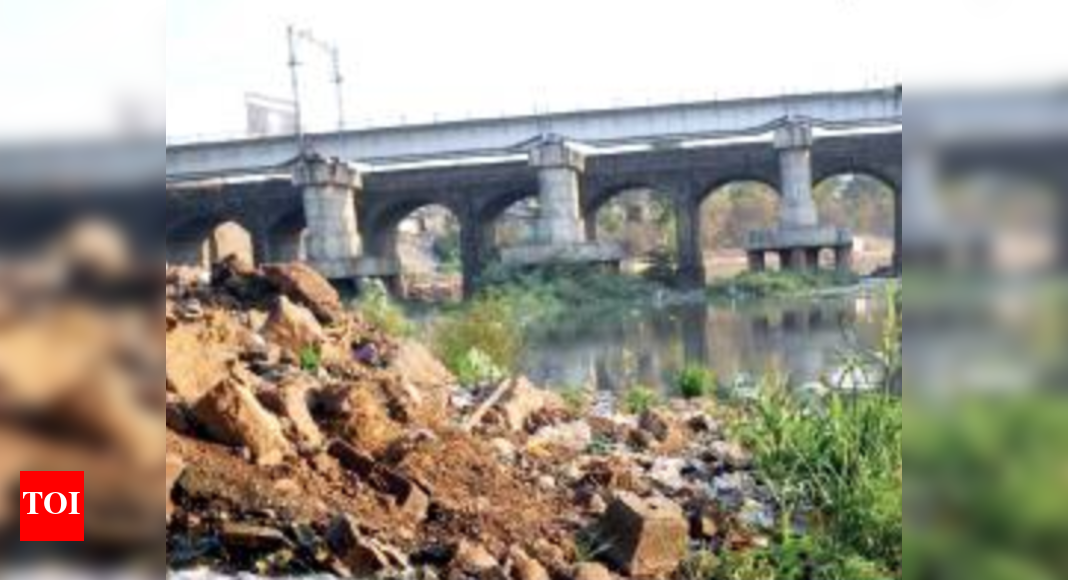 PMC: PMC plans 217 new access points to Mula-Mutha | Pune News - Times ...