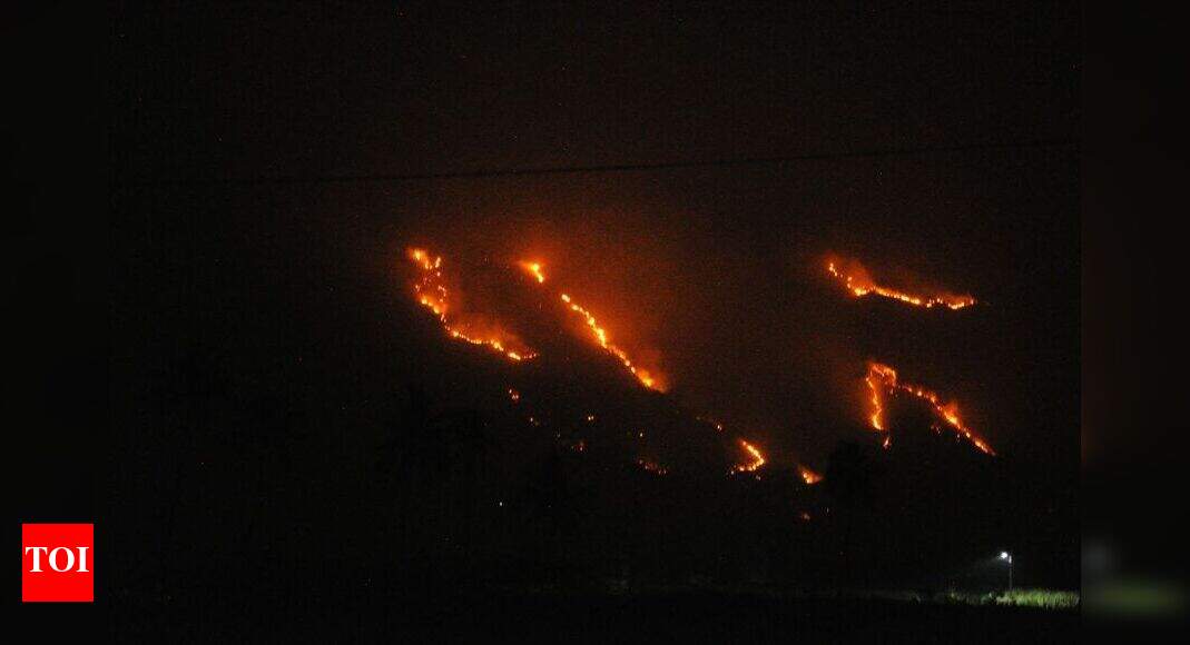 Kurangani forest fire probe to begin on Thursday | Chennai News - Times ...