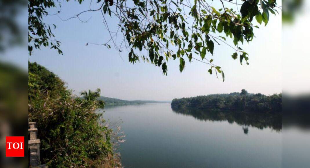 Greens plan mass protest to save Chaliyar River | Kochi News - Times of ...