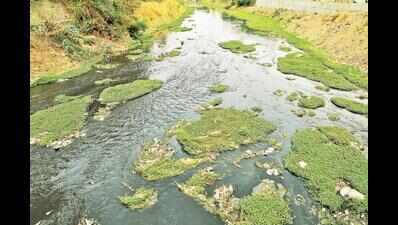 Centre puts Nag river project on top priority funding list | Nagpur ...