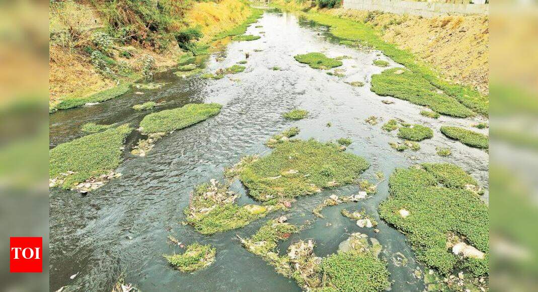 Centre puts Nag river project on top priority funding list | Nagpur ...