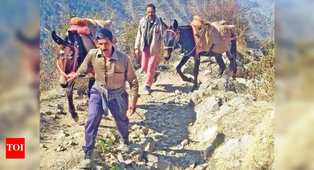 Uttarakhand village scripts a reverse migration story - Times of India