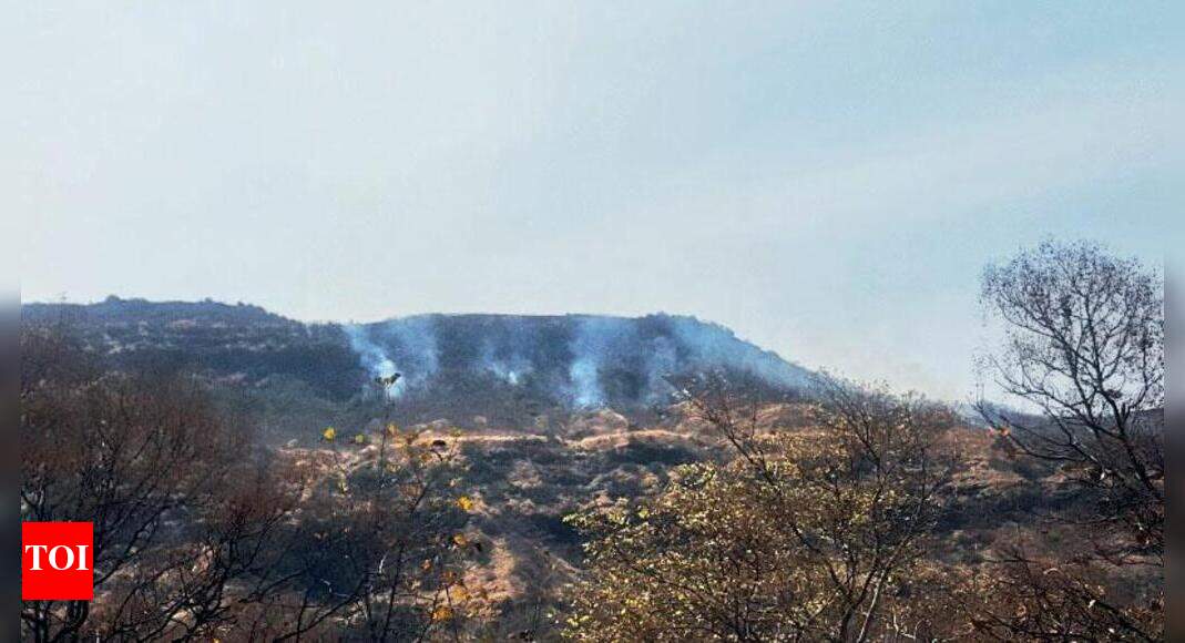 Pavagadh: Forest fire breaks out at Pavagadh, pilgrims safe | Vadodara ...