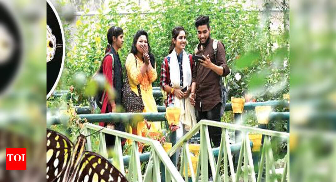 Titli park sends hearts aflutter | Bhopal News - Times of India
