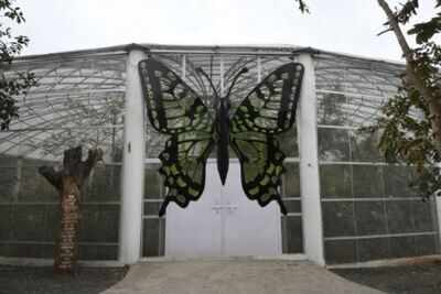 Titli park sends hearts aflutter | Bhopal News - Times of India