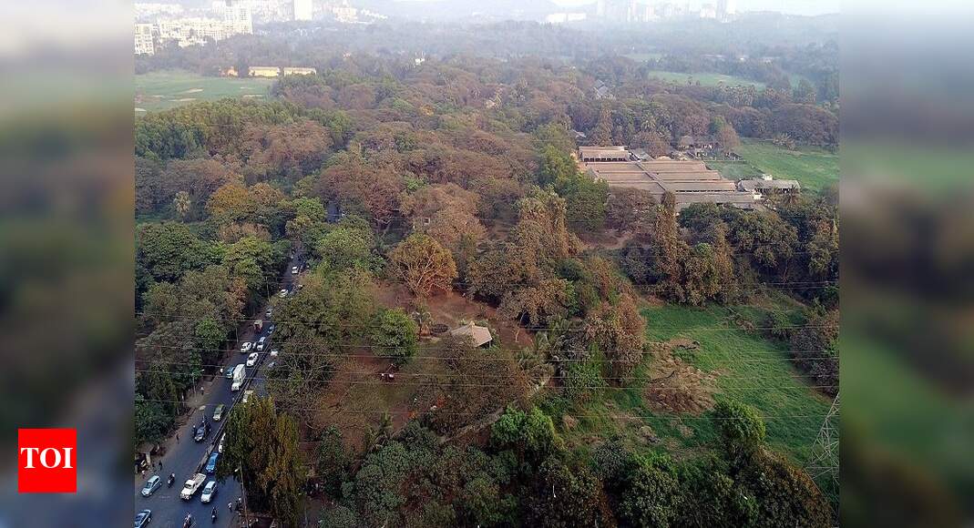 Goregaon Mangroves: ‘Mangroves on Goregaon land destroyed by debris ...