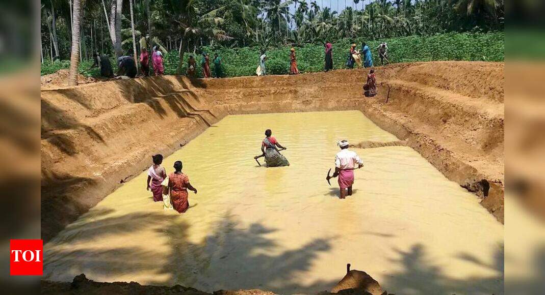 NREGA turns its focus on farm ponds | Thiruvananthapuram News - Times ...