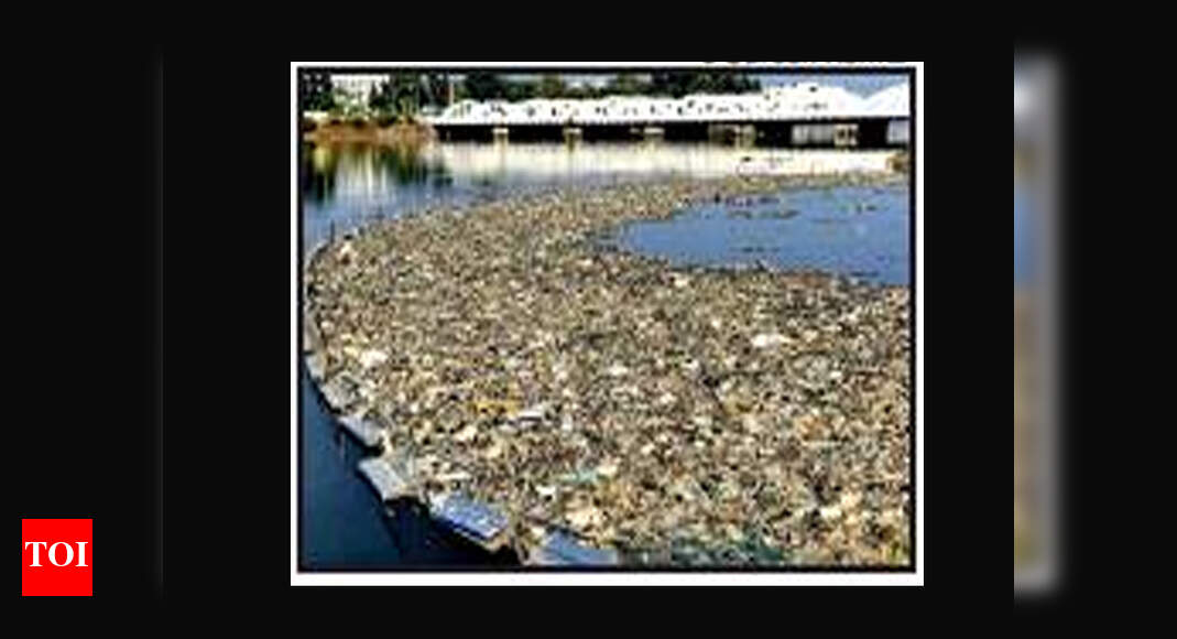 Chennai River Cooum: Bloom placers filter floating garbage in Cooum ...