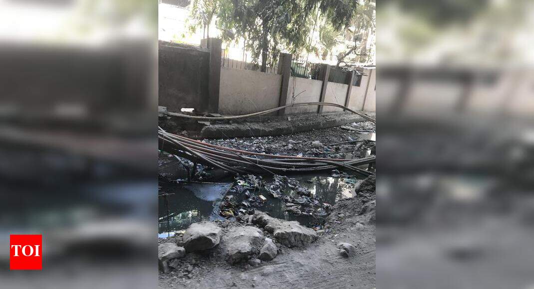 breeding mosquitoes and garbage dumping - Times of India