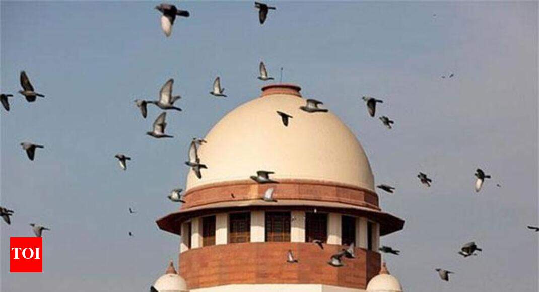 SC/ST Act: Govt will file review petition today | India News - Times of ...