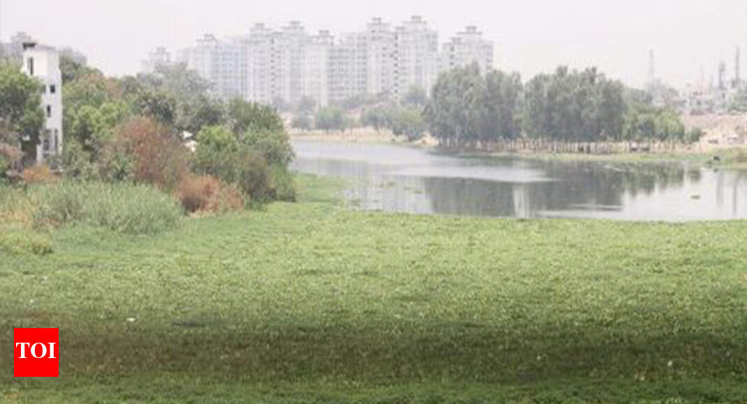 gomat taal: 8,000 volunteers dig land to revive Gomti’s original ...