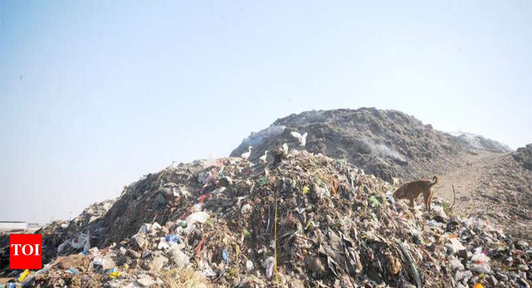 Team of 100 to curb garbage burning | Gurgaon News - Times of India