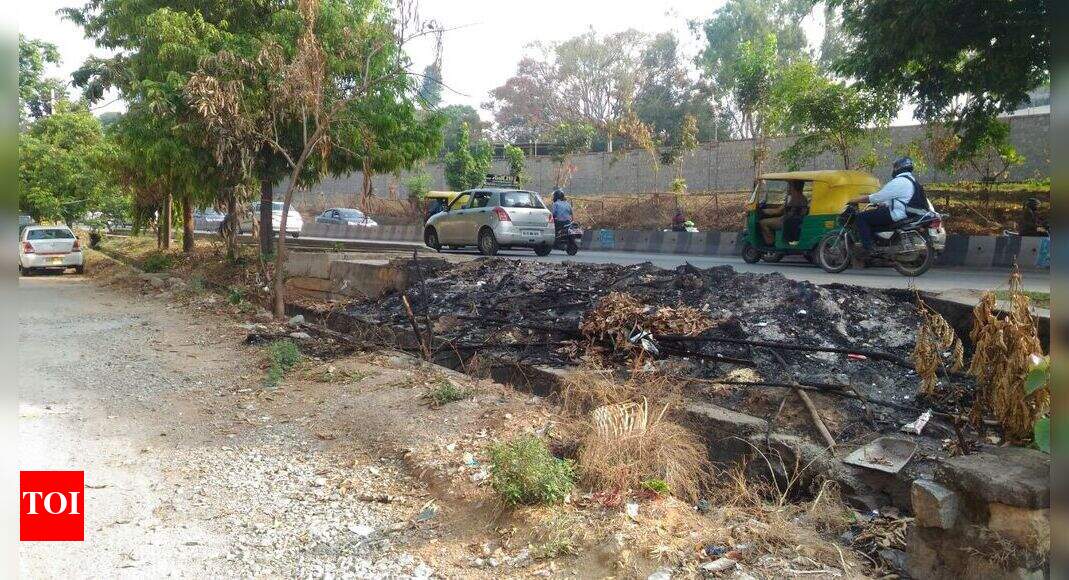 BBMP Burning Garbage - Times of India