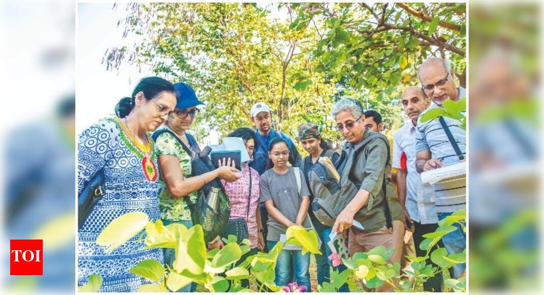 Mumbai Tree Appreciation Walks: These tree chroniclers help Mumbaikars ...