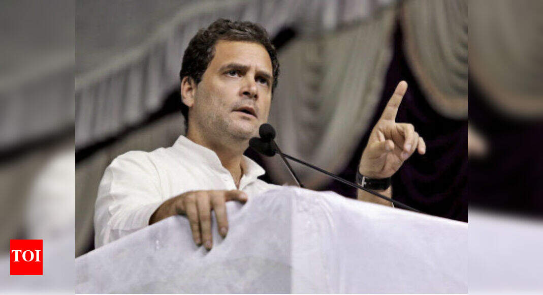 Rahul Gandhi: Amit Shah's remarks equating opposition with animals disrespectful | India News ...