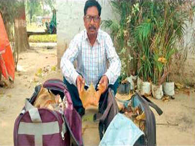 International agency takes note of calipee trade in UP | Lucknow News ...