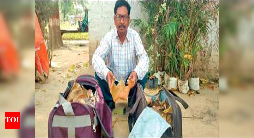 WCCB: International agency takes note of calipee trade in UP | Lucknow ...