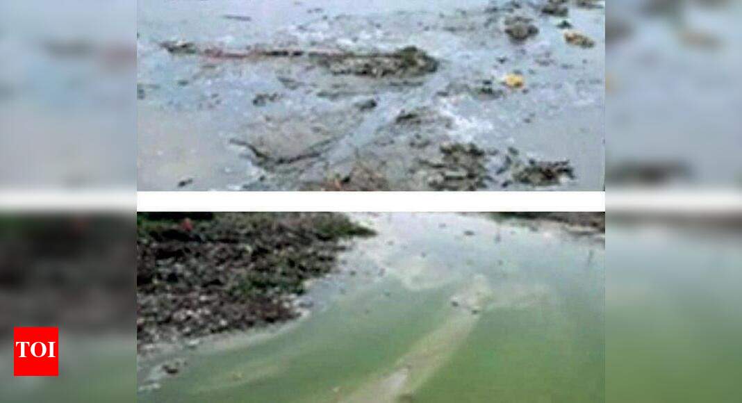 Eco-friendly tech to help clean Tapi water | Surat News - Times of India