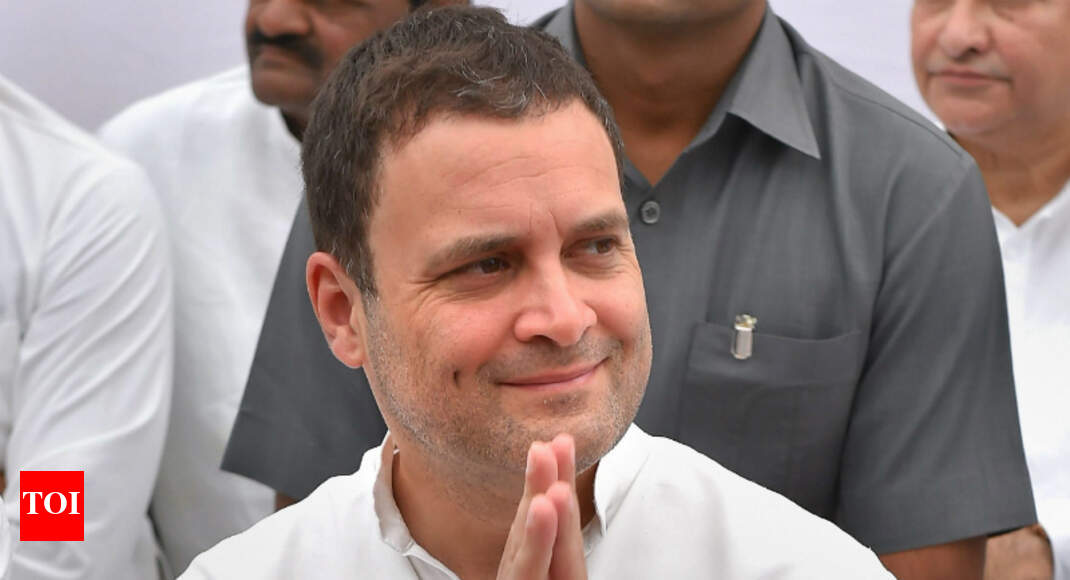 Rahul Gandhi: Shirdi Trust demands an apology from Rahul Gandhi for hurting followers ...