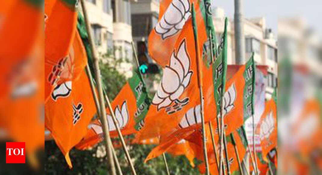 Maharashtra BJP: Maharashtra: BJP captures over 40% seats in 6 civic ...