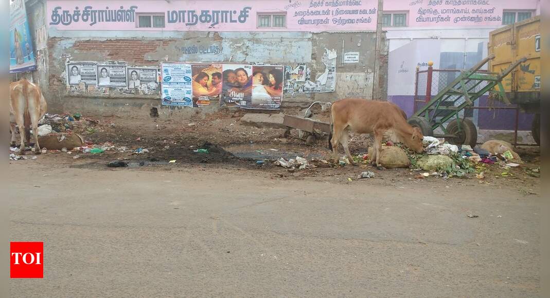 Poor Maintenance - Times of India