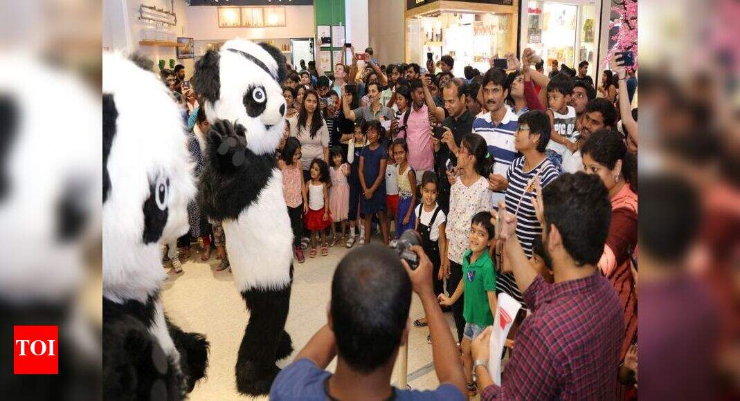 Shake a leg with pandas at Phoenix Marketcity | Events Movie News ...