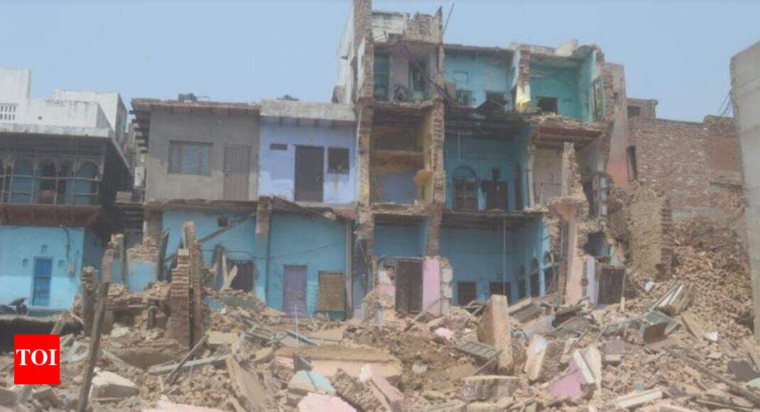 rat menace: Mighty rats bring down 3-storey Agra building | Agra News ...