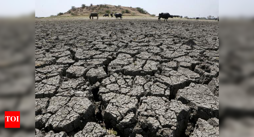 Ahead of peak summer, 153 districts severely dry: Met | India News ...