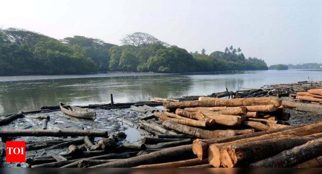 Work on boundary marking of Kallayi River to start soon | Kochi News ...