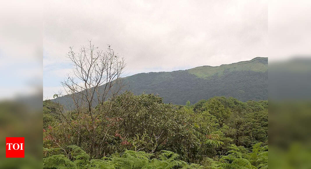 Forest dwellers found using forest land after relocation | Coimbatore ...