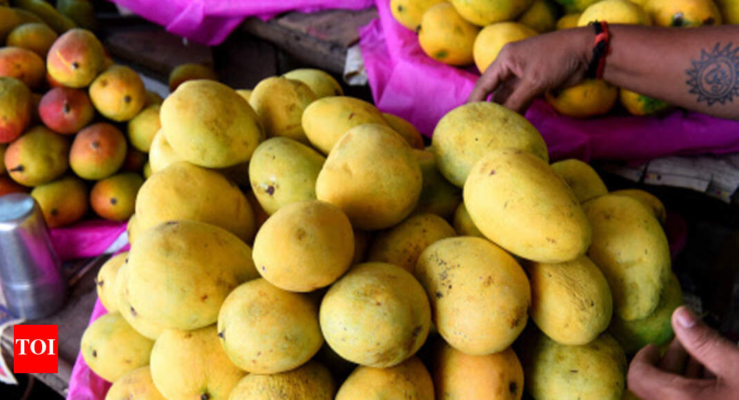 nelson figeuredo: High mango prices may continue till month-end | Goa ...