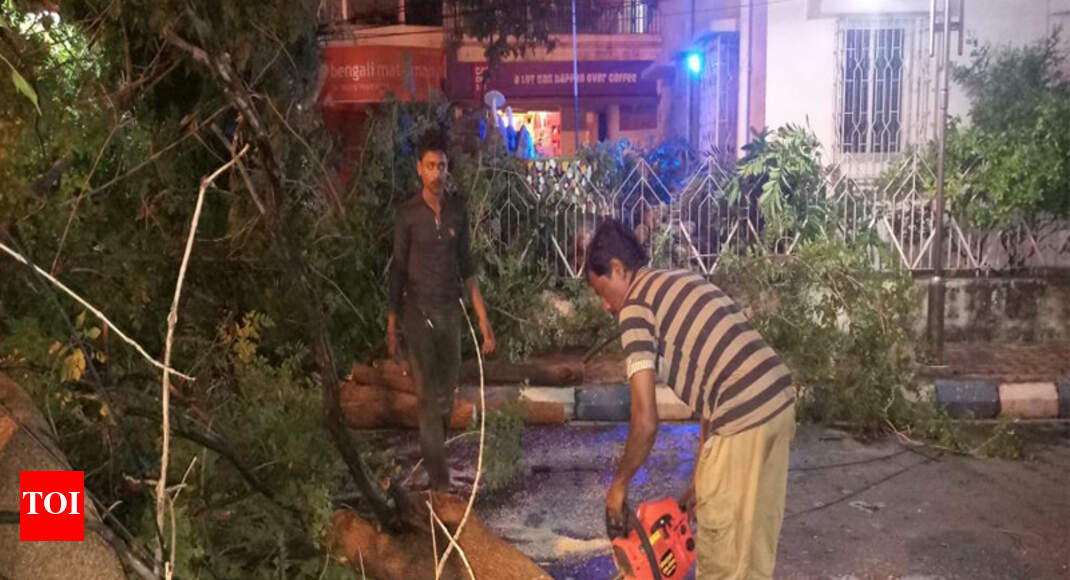 Kolkata weather: 8 dead, several injured as massive storm hits Kolkata, suburbs | Kolkata News ...