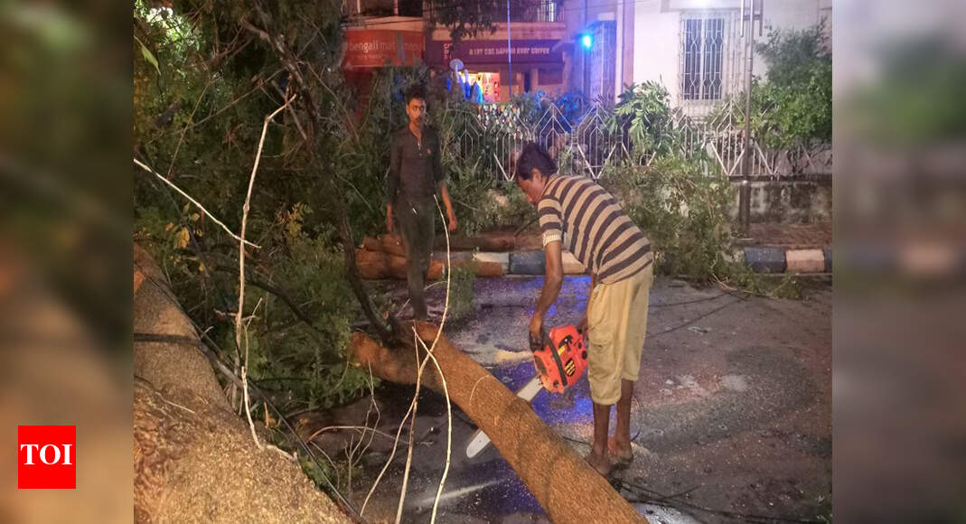 Kolkata weather: 8 dead, several injured as massive storm hits Kolkata, suburbs | Kolkata News ...