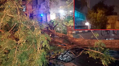 Kolkata weather: 8 dead, several injured as massive storm hits Kolkata, suburbs | Kolkata News ...