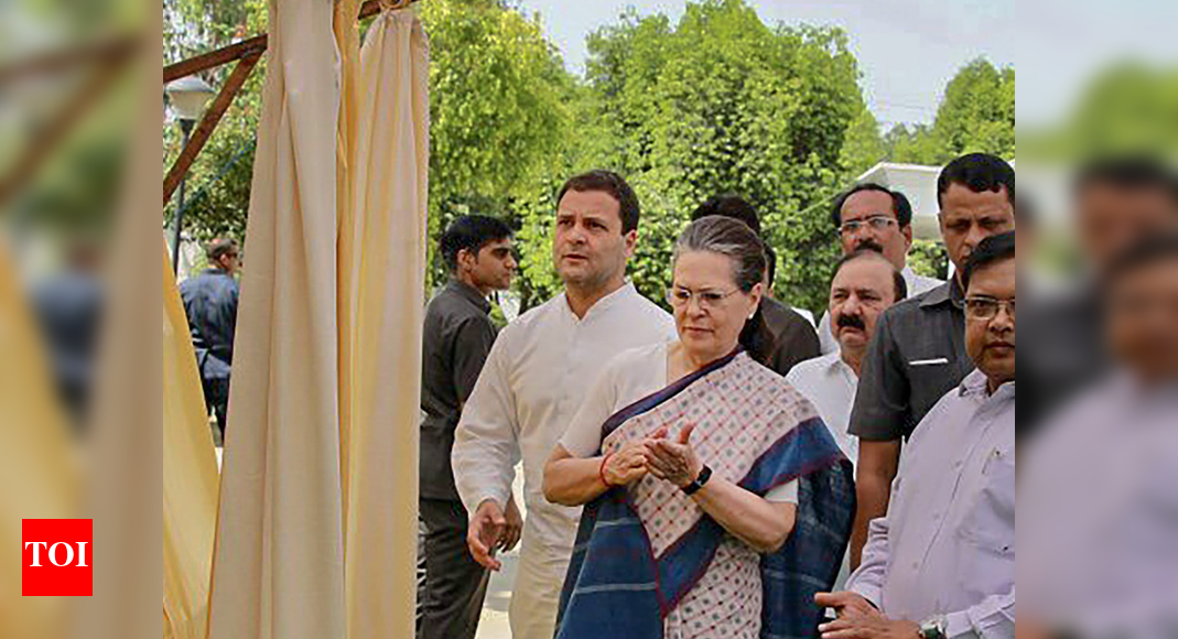 Rae Bareli: Sonia, Rahul wrap up Rae Bareli visits | India News - Times ...