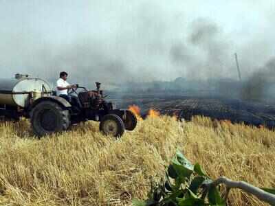 Crop destroyed in fire as power line falls on wheat field | Noida News ...