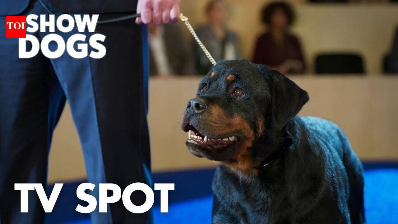 Show Dogs - Movie Clip