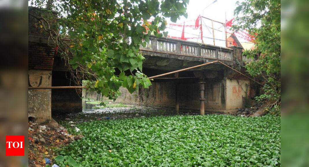 HC orders construction of new bridge at Vallakadavu ...