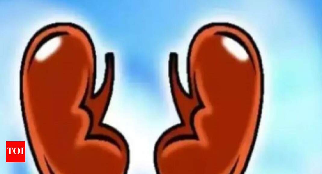 Mandya farmer case brings cheer to kidney patients | Bengaluru News ...