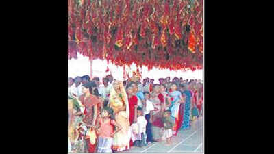 After HC, ‘Kungher high court’ | Ahmedabad News - Times of India