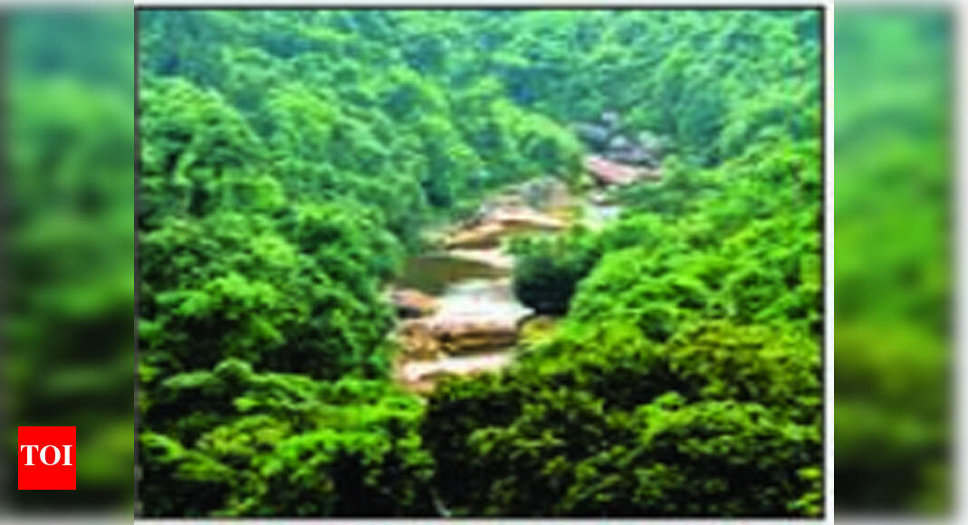 ' Encroachment of forest area on the rise in Meghalaya' | Shillong News ...