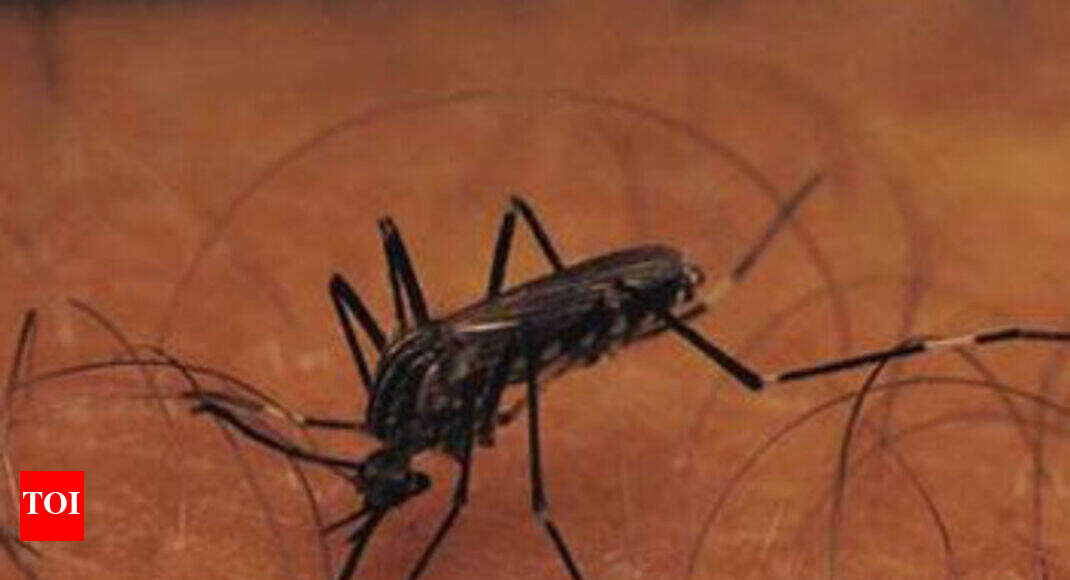 WHO for expanding reach of national malaria programmes to eliminate ...