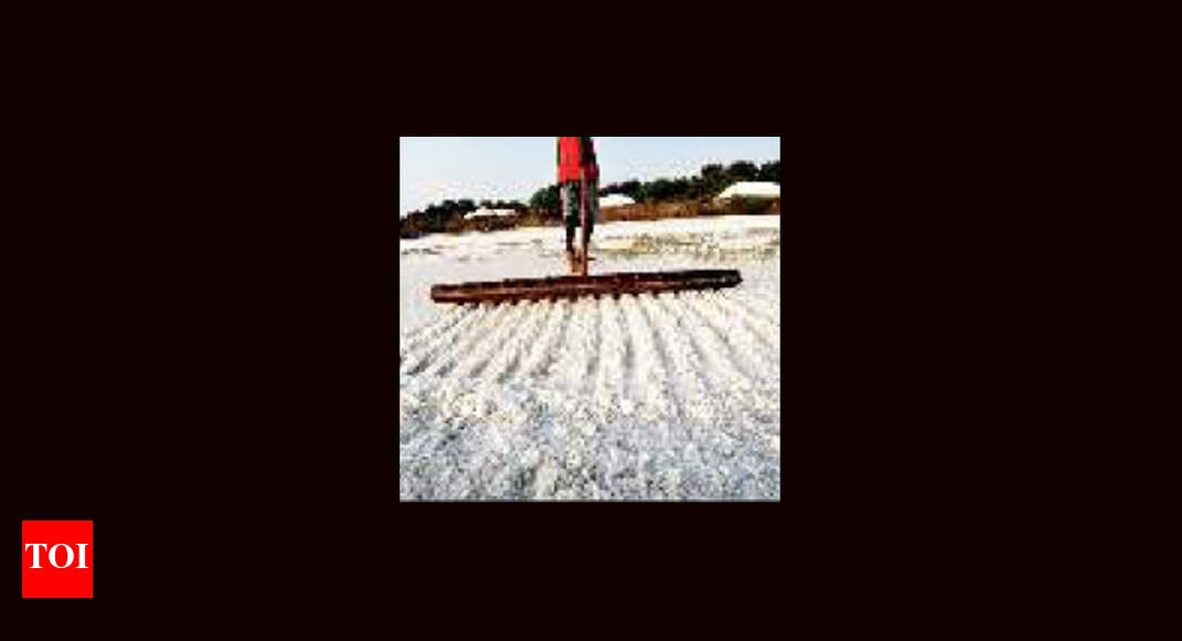 No development zones, salt pans to make way for 10 lakh affordable ...