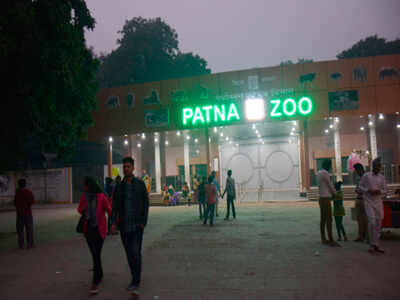 Patna zoo to welcome new inmates soon | Patna News - Times of India