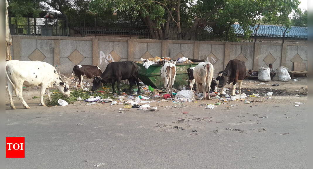 Open garbage dumping place - Times of India