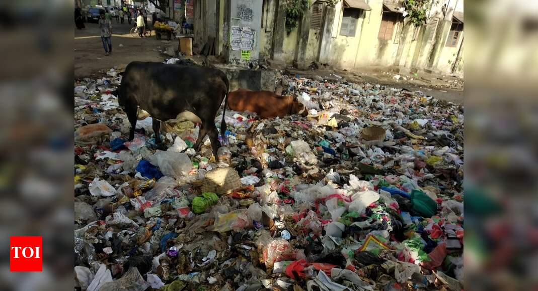 Garbage In wadala BPT colony - Times of India